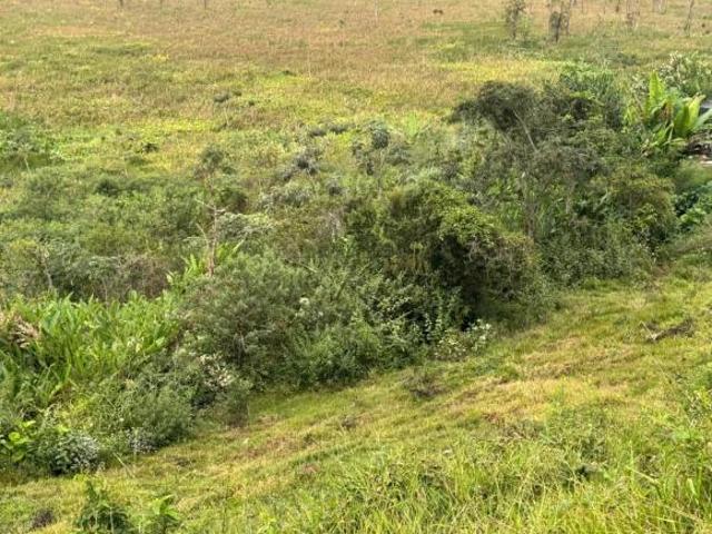 Oportunidade Terreno Jardim Nova América 642,90