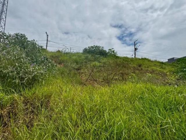 Oportunidade Terreno Jardim Santa Júlia 275m2