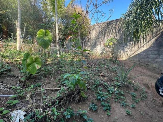 Oportunidade Terreno Jardim Terras de São João Jacareí 250m²