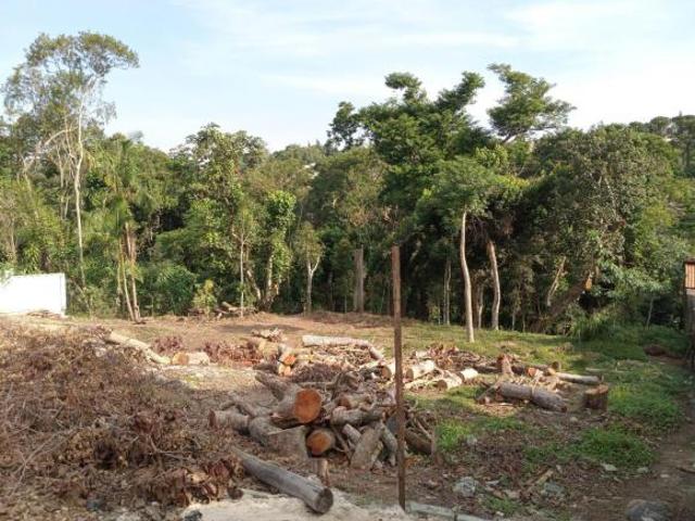 Oportunidade Terreno maravilhoso em Condomínio Granja Viana