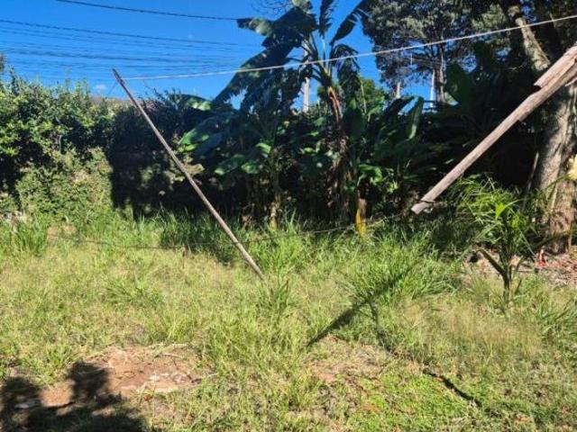 Oportunidade Terreno misto comercial e residencial 185,37m² Totalmente Asfaltado Bom Retiro SJcampos