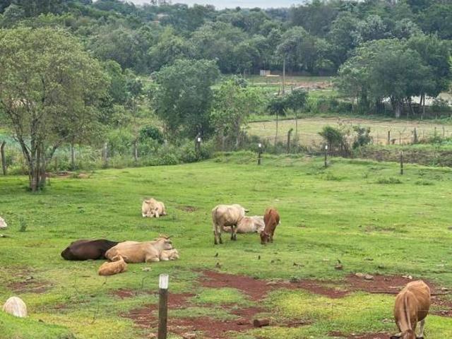OPORTUNIDADE única – CHÁCARA COMPLETA | 60.000 m² | PORTEIRA FECHADA