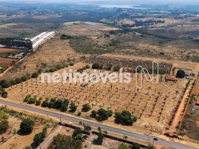 Oportunidade Única: Chácara de 250m de Frente, Escriturada, às Margens da DF 451