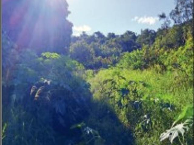 Oportunidade Única em CAMPO MOURAO PR | Tipo: Terreno | Negociação: Venda Direta Online | Situação: Imóvel