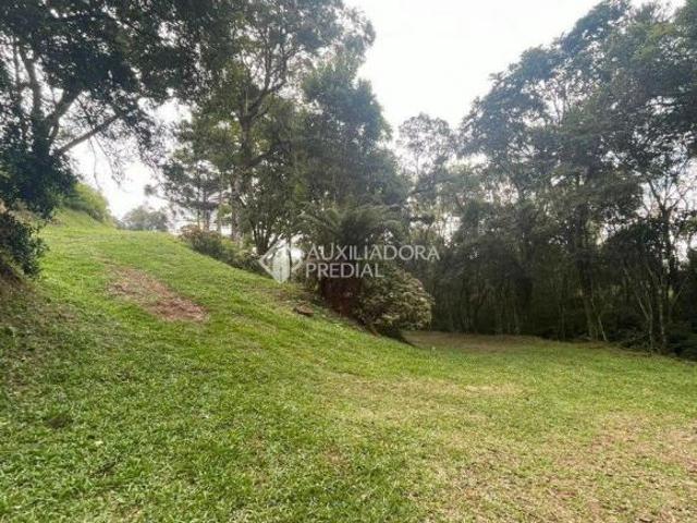 Oportunidade Única em Gramado! Terreno de 16.500m²