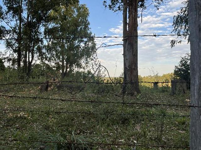 Oportunidade Única em ELDORADO DO SUL RS | Tipo: Terreno | Negociação: Venda Online | Situação: Imóvel