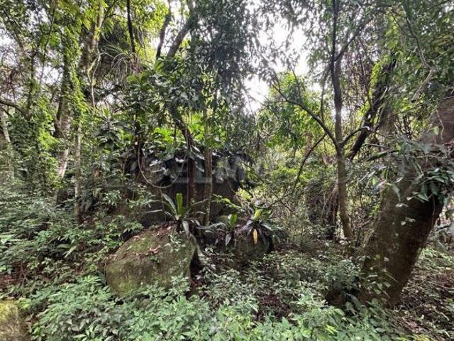 Oportunidade única em Ibiúna! Terreno de 32.160m²