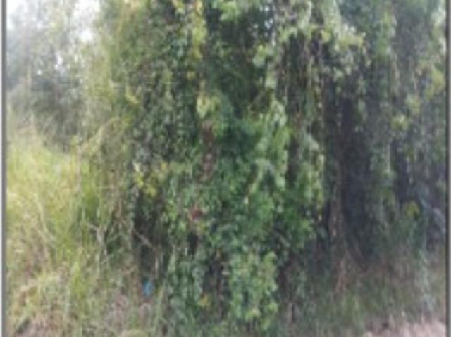 Oportunidade Única em ITABORAI RJ | Tipo: Terreno | Negociação: Licitação Aberta | Situação: Imóvel