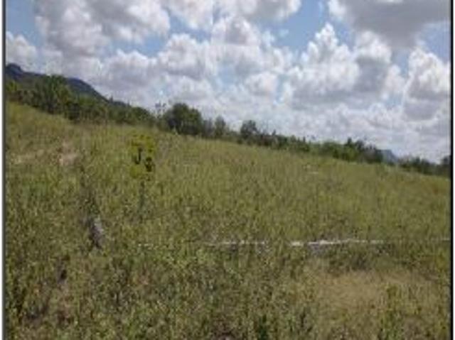 Oportunidade Única em JATAUBA PE | Tipo: Terreno | Negociação: Venda Direta Online | Situação: Imóvel