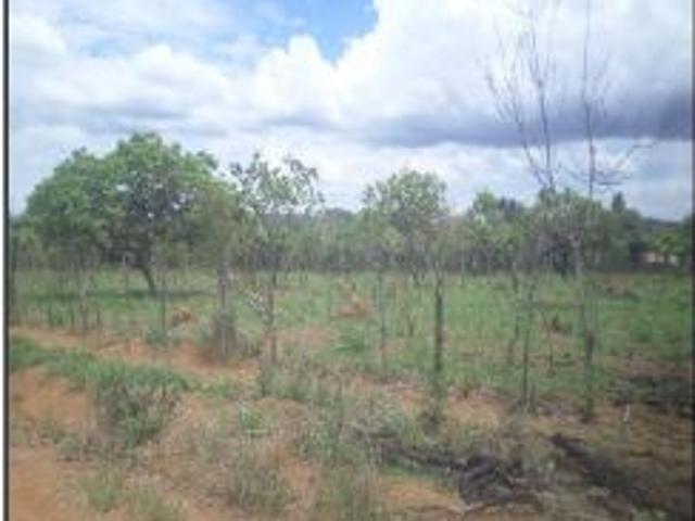 Oportunidade Única em LUZIANIA GO | Tipo: Terreno | Negociação: Venda Direta Online | Situação: Imóvel