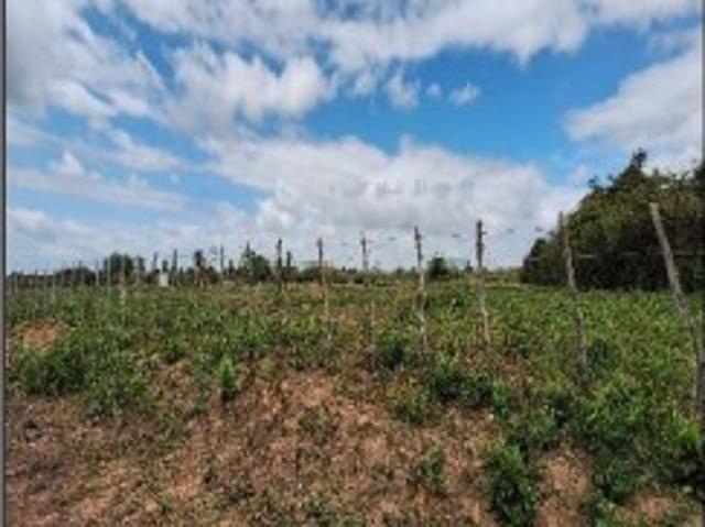 Oportunidade Única em MACAIBA RN | Tipo: Casa | Negociação: Venda Direta Online | Situação: Imóvel