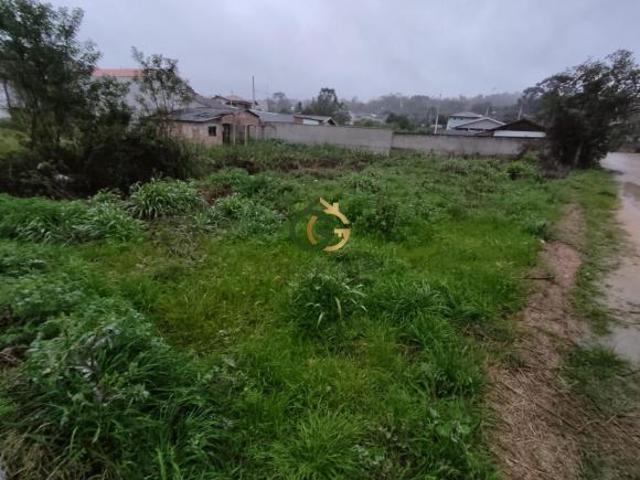 Oportunidade Única em Mandirituba: 3 Terrenos com