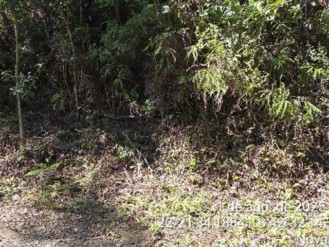 Oportunidade Única em NOVA FRIBURGO RJ | Tipo: Terreno | Negociação: Venda Direta Online | Situação: Imóvel