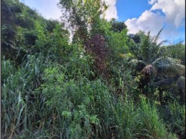 Oportunidade Única em SERRA ES | Tipo: Terreno | Negociação: Venda Online | Situação: Imóvel