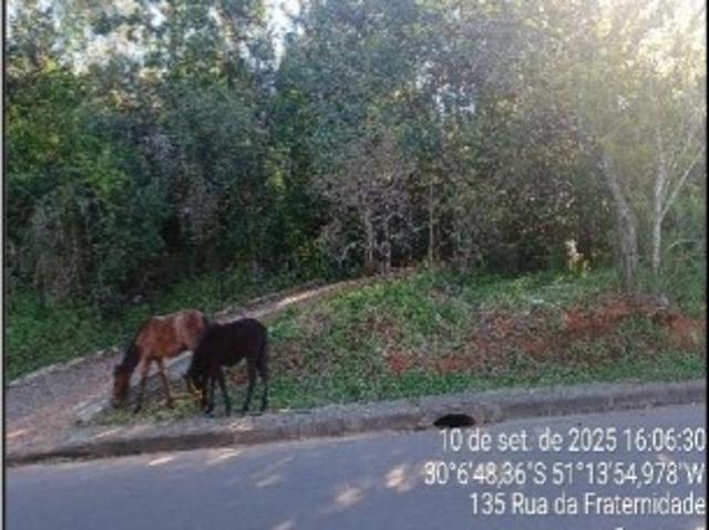 Oportunidade Única em PORTO ALEGRE RS | Tipo: Terreno | Negociação: Venda Direta Online | Situação: Imóvel