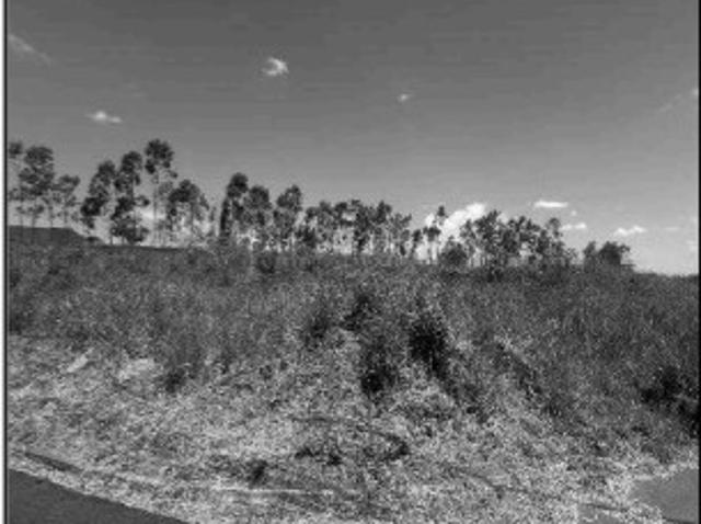 Oportunidade Única em UMUARAMA PR | Tipo: Terreno | Negociação: Leilão | Situação: Imóvel