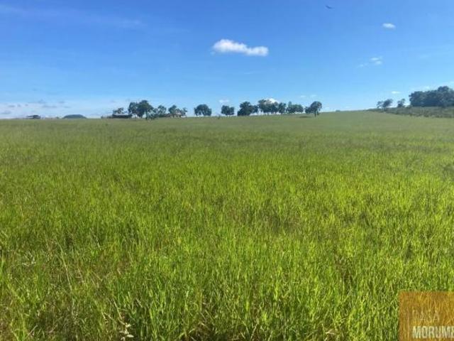 Oportunidade única: Fazenda à venda em Camapuã MS, 183,40 m² de área no bairro