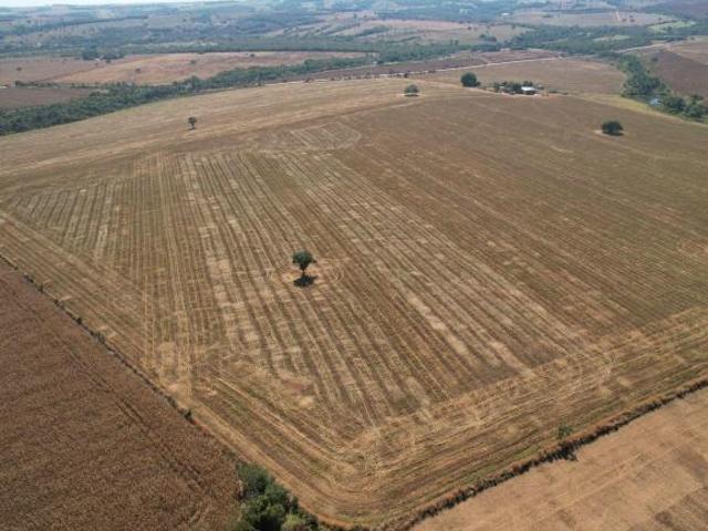 Oportunidade única: Fazenda à venda em Piracanjuba GO, Zona Rural, com vasta extensão de terras e in
