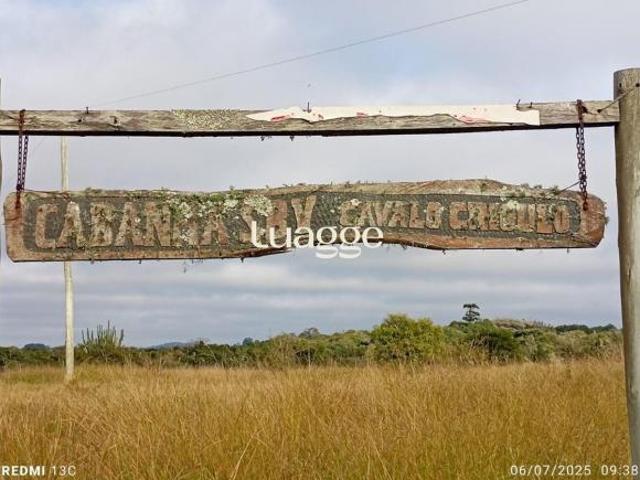 Oportunidade única! Fazenda com 28 ha, desocupada à venda em Viamão, Rio Grande