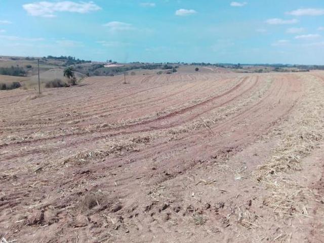 Oportunidade Única: Fazenda de 44,45 Alqueires com Localização Privilegiada em Piracicaba SP