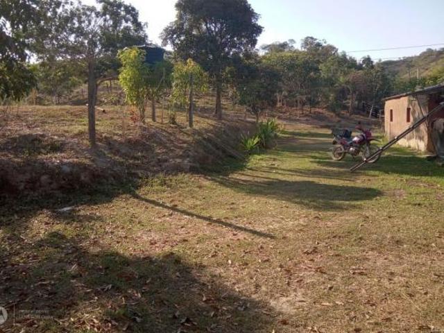 Oportunidade Única! Fazenda de 20 Alqueires, Toda Formada, com Nascentes e Infraestrutura Completa p