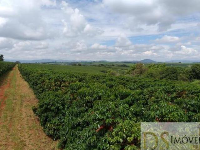 OPORTUNIDADE ÚNICA: FAZENDA DE CAFÉ COM 120 ALQUEIRES EM PIUMHI/MG!