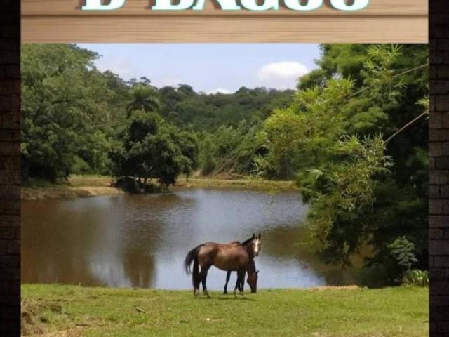 OPORTUNIDADE ÚNICA: HARAS DE ALTO PADRÃO À VENDA EM SÃO ROQUE SP! 7 Alqueires de Pura Excelência e P