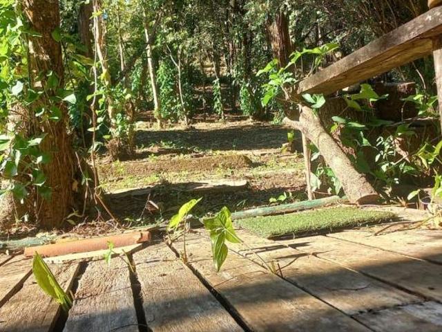 OPORTUNIDADE ÚNICA: Lote 1000m no Melhor Cond. de Casa Branca Preço de ocasião