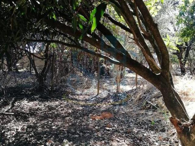 Oportunidade única: Lote à venda em Belo Horizonte MG, bairro Trevo, com 720m² de área