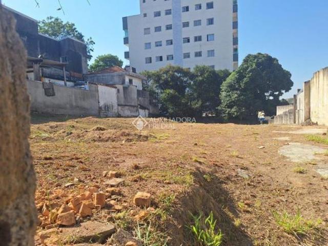 Oportunidade Única no Bairro Assunção Terreno Plano e Murado