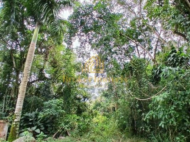Oportunidade única no Litoral Norte de SP, 5 lotes de terreno em Massaguaçu Caraguatatuba SP à 1000