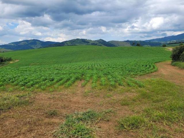 Oportunidade Única no Sul de Minas: Fazenda com 80% de Aproveitamento para Lavouras