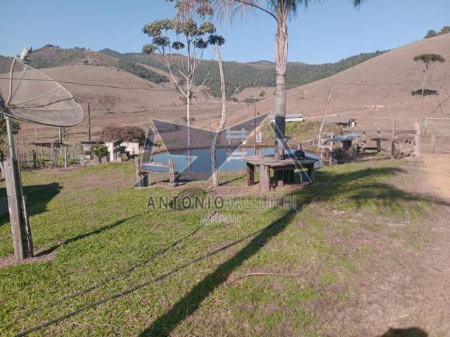 OPORTUNIDADE ÚNICA NO SUL DE MINAS: Fazenda Leiteira de PORTEIRA FECHADA com Renda Garantida!