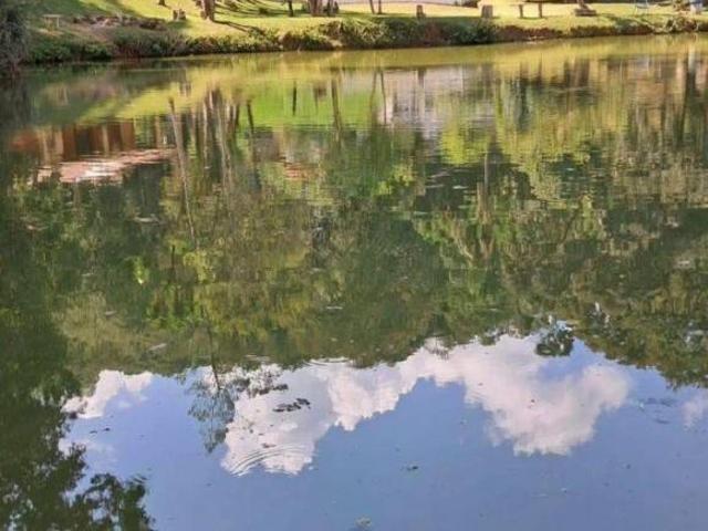 oportunidade unica sitio com lago de peixe 39 mil mts em meio natureza de joanopolis sp