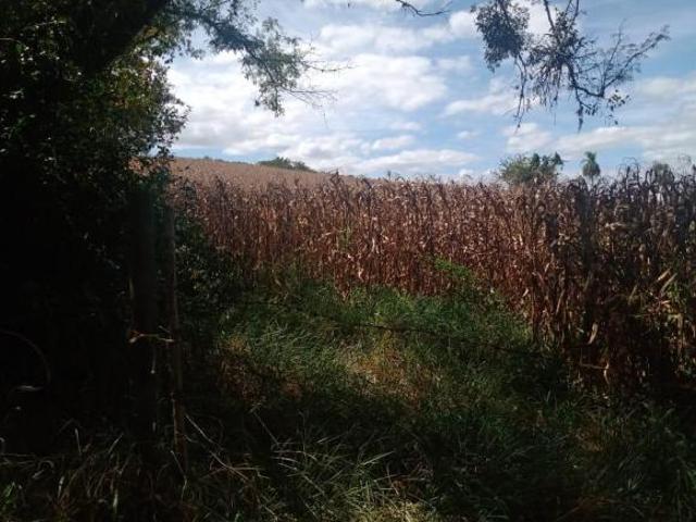 Oportunidade única: Sitio à venda em Angatuba SP, Zona Rural, 1 quarto, 1 banheiro, 205.700,00 m² de