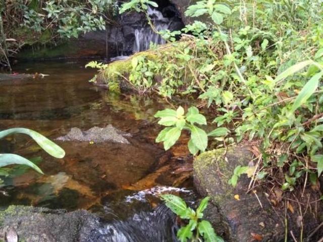 Oportunidade Única! Sitio à venda em Cunha SP, bairro Paraibuna, com 377.556,00 m² de área entre Mat