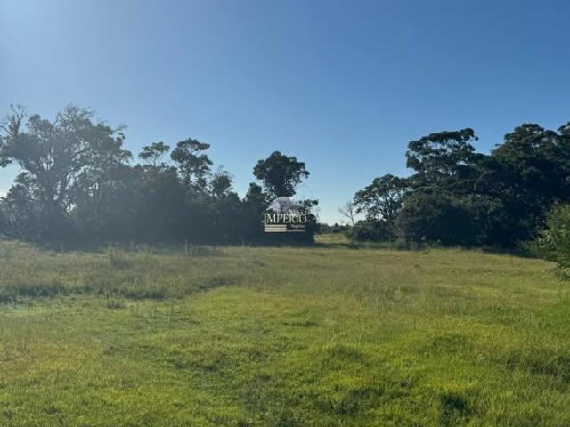 Oportunidade única: Sítio à venda em Osório RS, bairro Palmital, com 3 hectares de área! Confira ago
