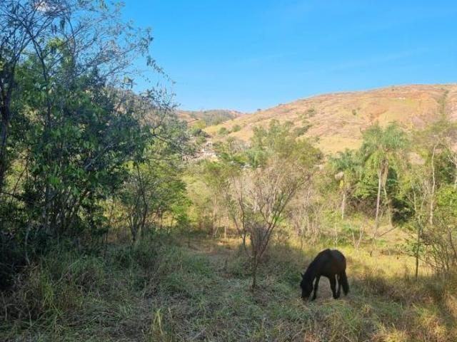 OPORTUNIDADE ÚNICA – SÍTIO PONTAL A VENDA