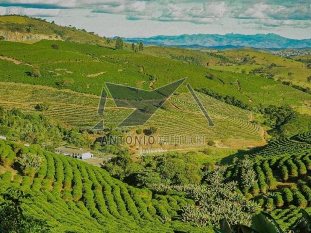 Oportunidade Única PORTEIRA FECHADA! Fazenda de Café com Torrefação em São Lourenço/MG