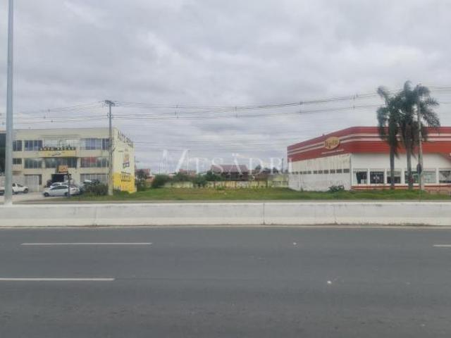 Oportunidade única para investidores visionários!