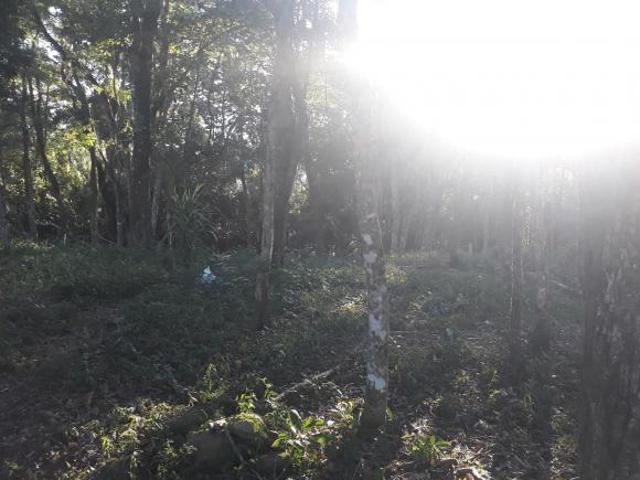 Oportunidade Única Terreno 1000m²