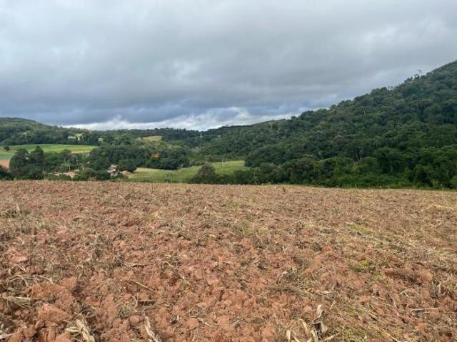 Oportunidade Única – Terreno 1.000m² em Ibiúna
