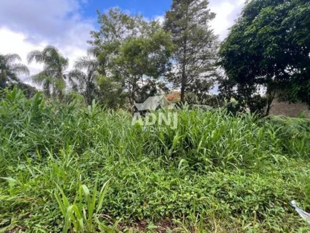Oportunidade única: Terreno à venda em São Lourenço da Serra SP, 550,00 m² de área