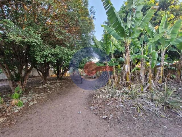 Oportunidade única! Terreno amplo à venda na Vila Nova, Rio Claro