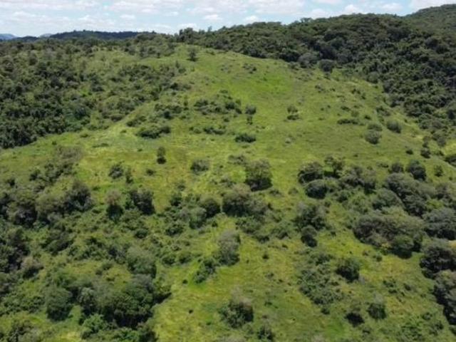 Oportunidade Única: Terreno com 62 Hectares com Água Abundante e Energia Instalada