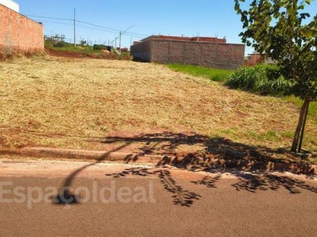 Oportunidade Única! Terreno com Preço Especial em Bairro Nobre e Super Valorizado