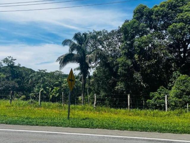 OPORTUNIDADE ÚNICA – TERRENOS ÀS MARGENS DA PR 408