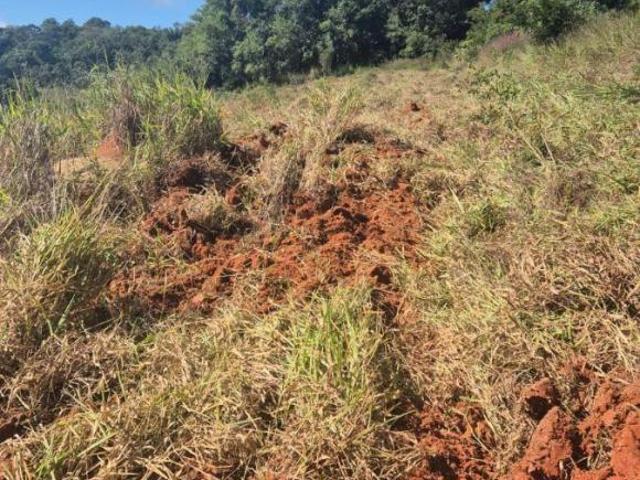 Oportunidade única: terrenos de 1.000m²