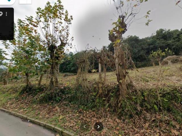 Oportunidade Vale dos Vinhedos