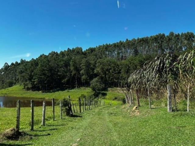 Oportunidade! Venda de sítio de 10 alqueires há 2 km do centro de Sabaúna Mogi das Cruzes SP